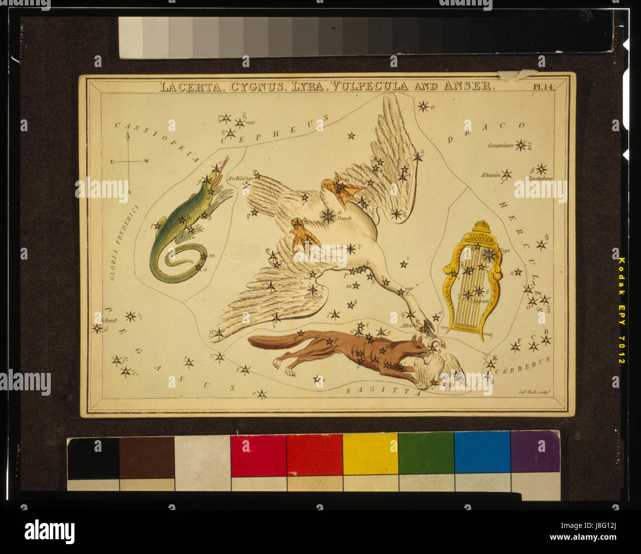 This title lists several constellationsâ€”Lacerta, Cygnus, Lyra ...