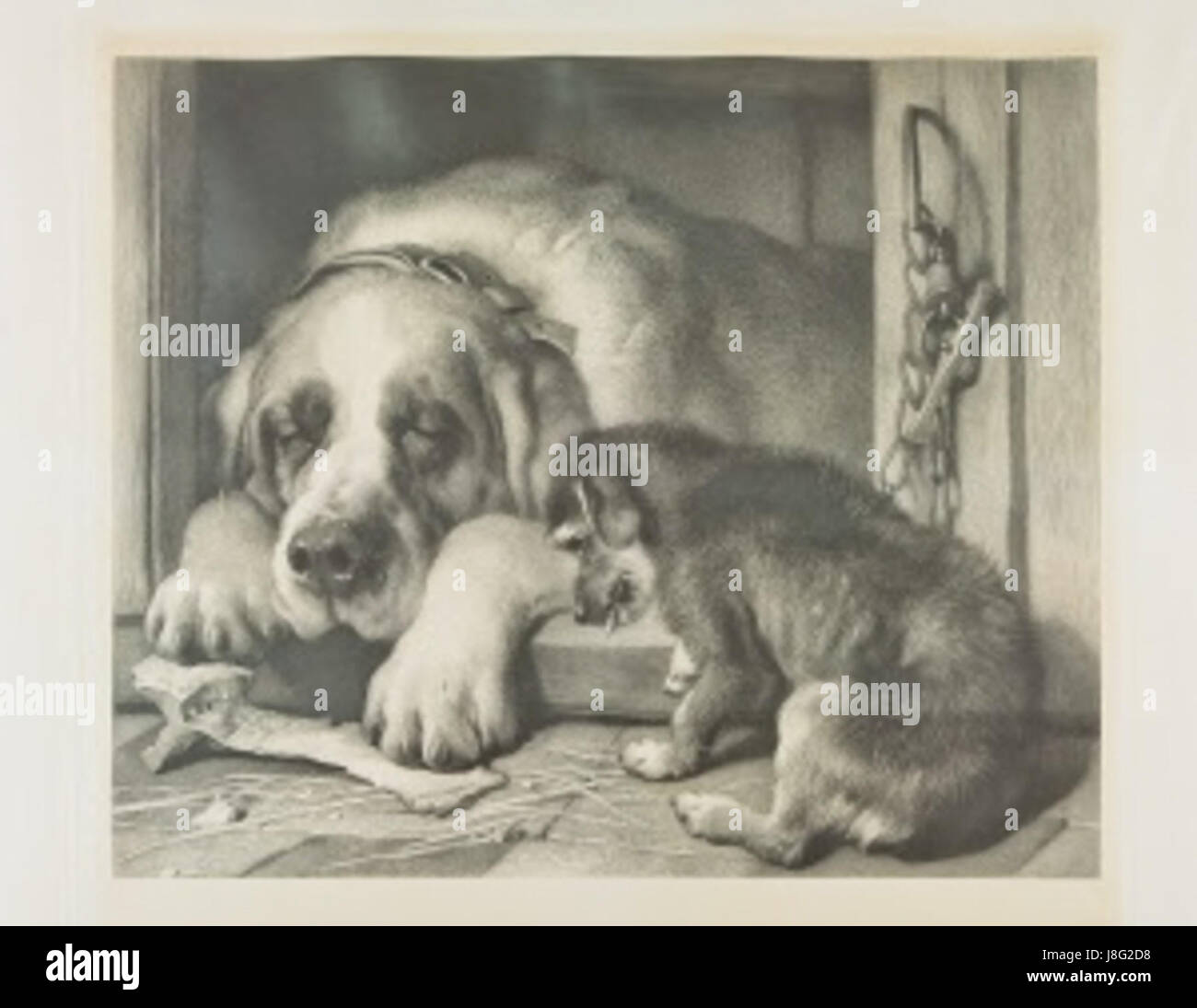 This mezzotint engraving, titled 'Doubtful Crumbs,' is an example of ...