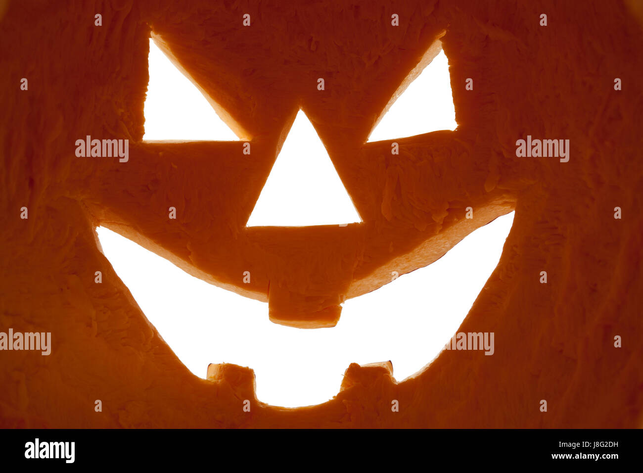 men, man, inside, face, party, celebration, halloween, pumpkin, laugh ...