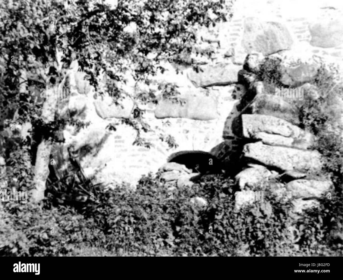 Leicinger Solovki 31 Stock Photo - Alamy