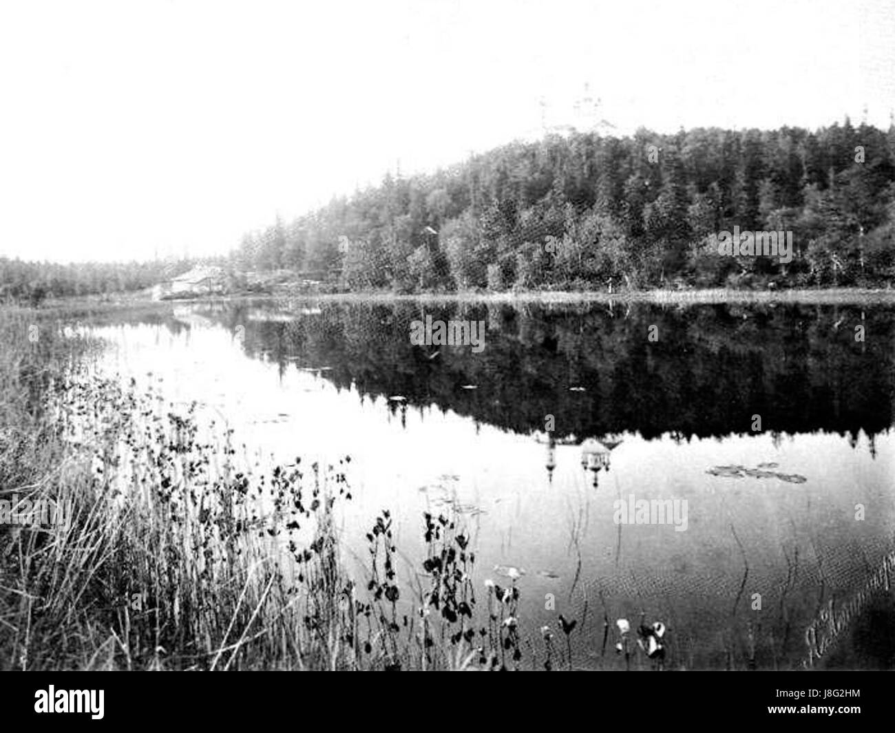 Leicinger Solovki 58 Stock Photo - Alamy