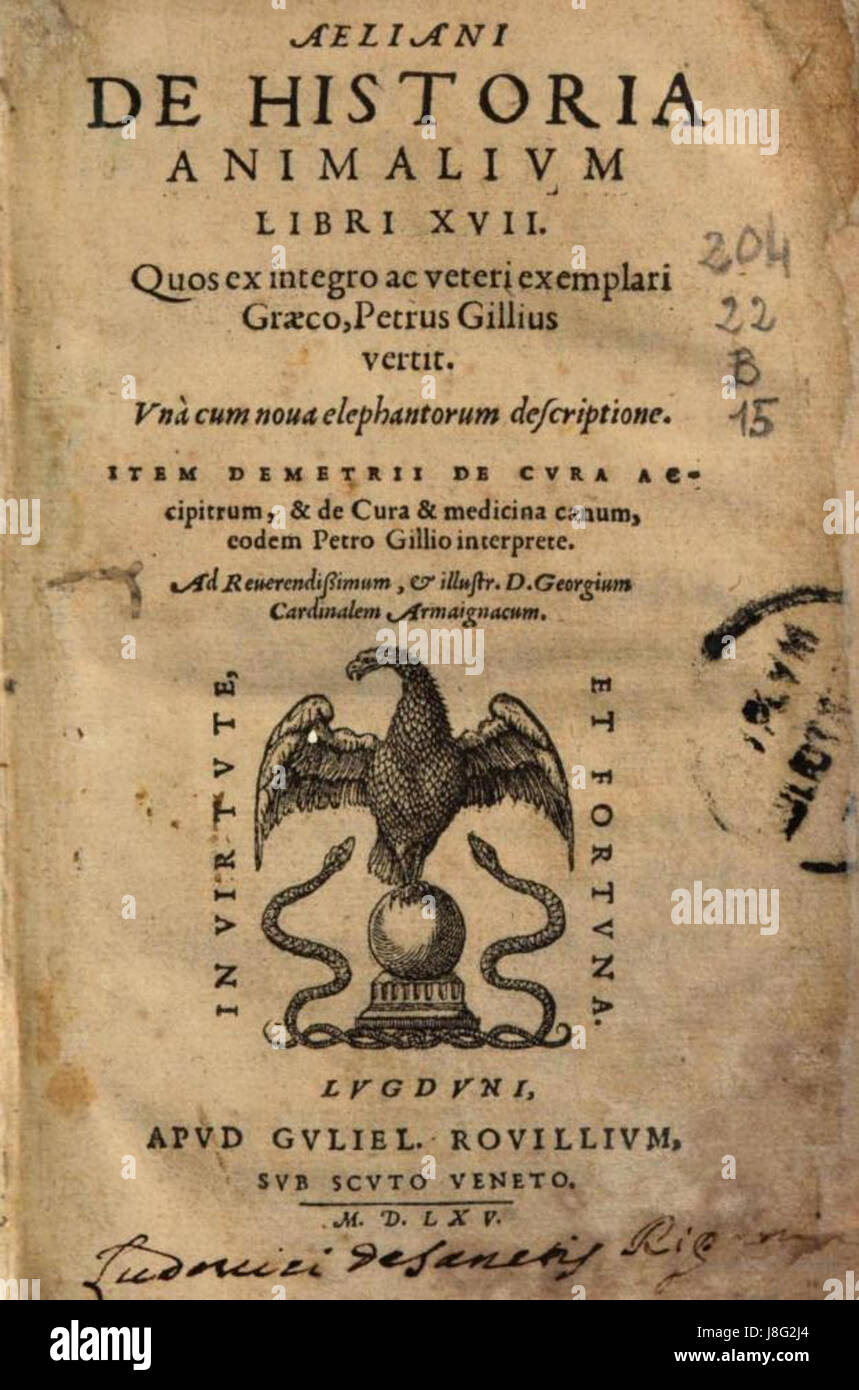 Aelian hi-res stock photography and images - Alamy