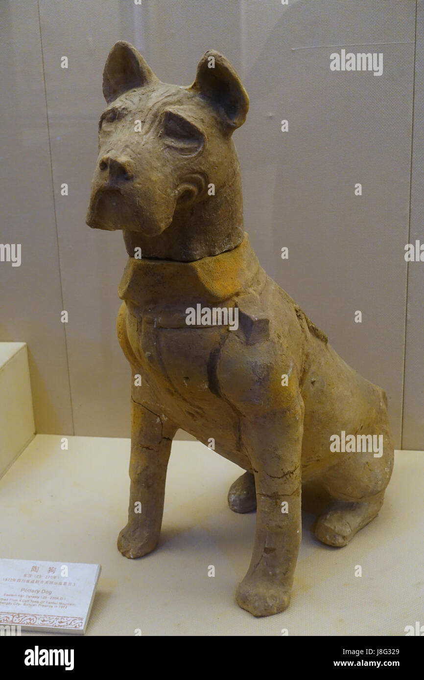 Dog, China, unearthed from a cliff tomb, Tianhui Mountain, Chengdu City ...