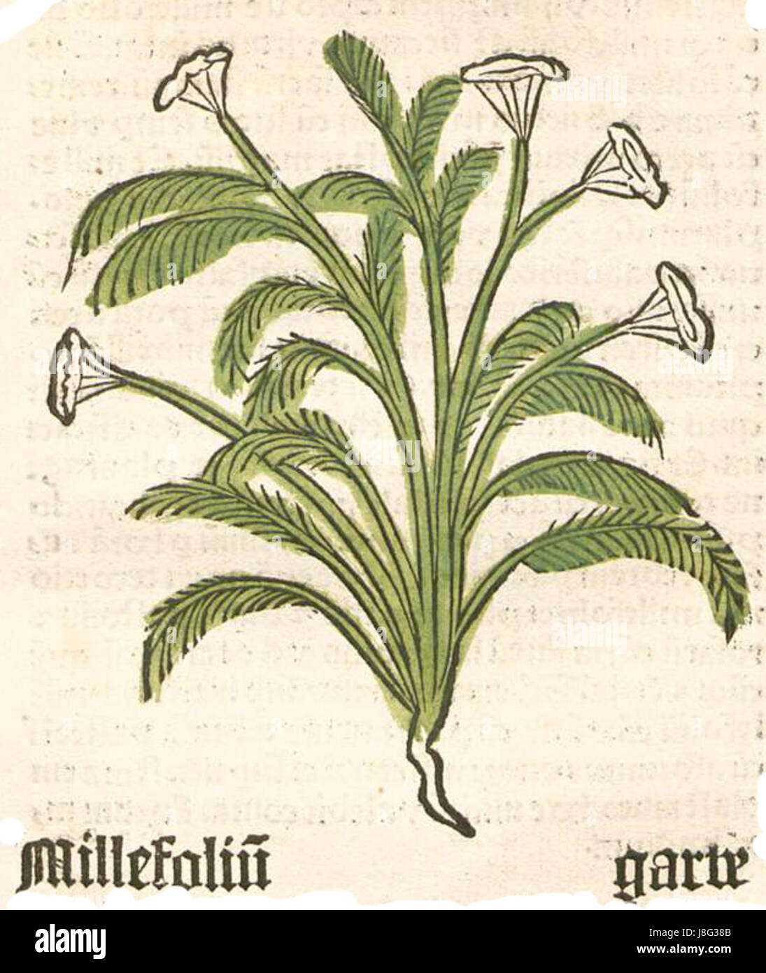 Ancient garb hi-res stock photography and images - Alamy