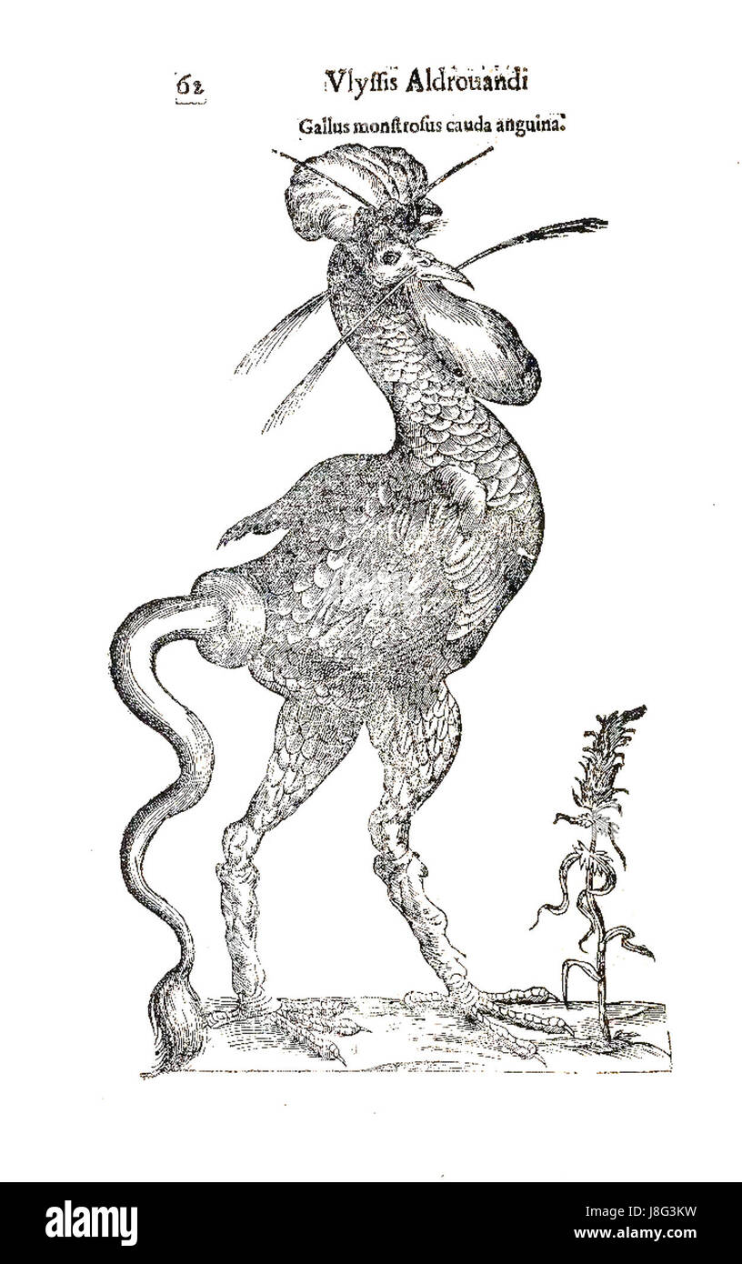 Monster study Cut Out Stock Images & Pictures - Alamy