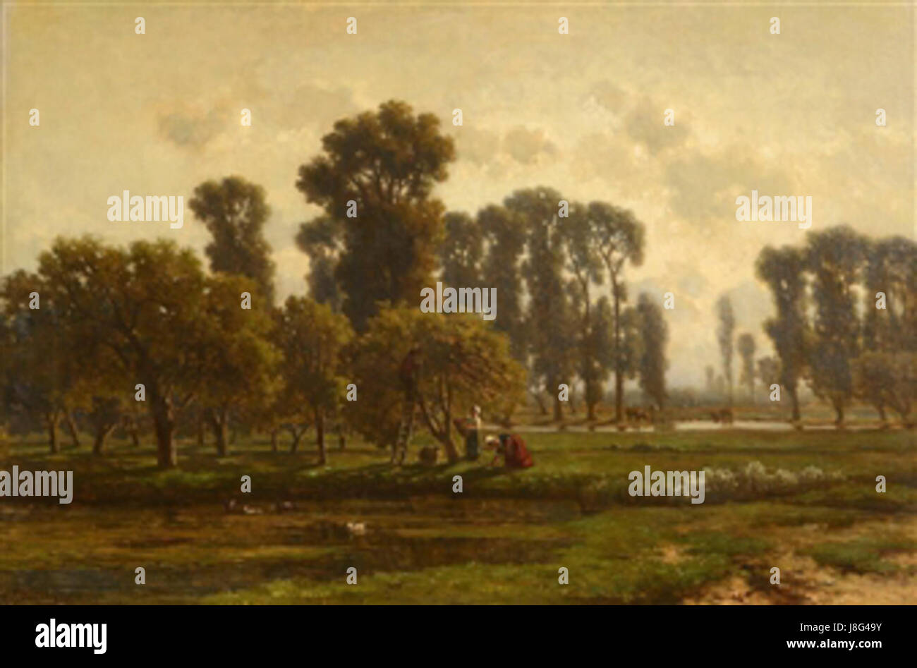 Mollinger hi-res stock photography and images - Alamy