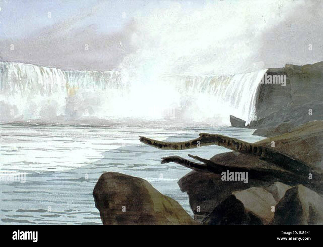 Horseshoe Falls is one of the most iconic features of Niagara Falls ...