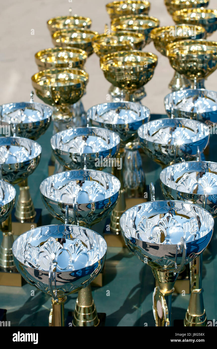 cup, successful, succesful, object, sport, sports, celebrate, reveling ...