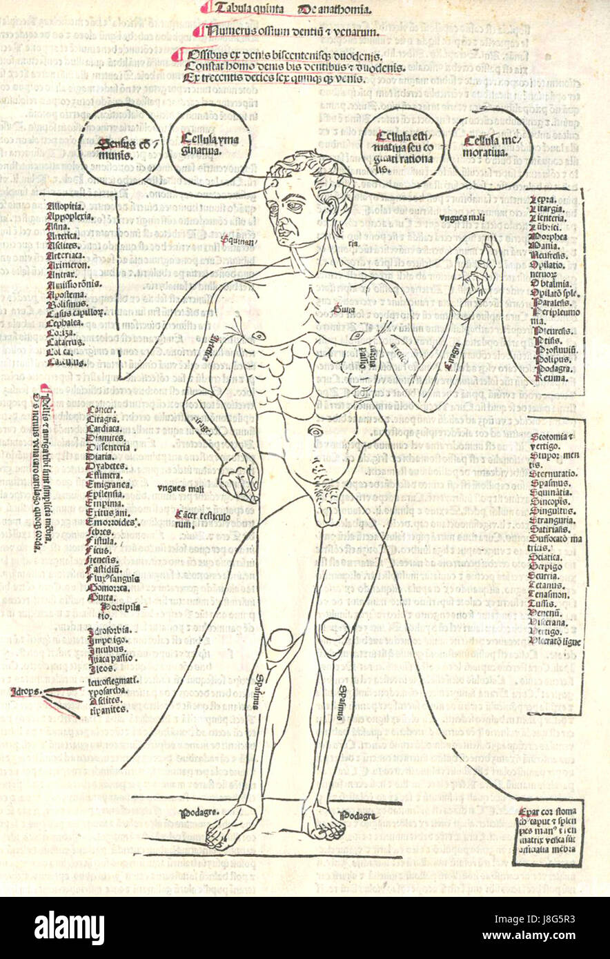 Mann 14918 refers to a historical photograph or document linked to the ...