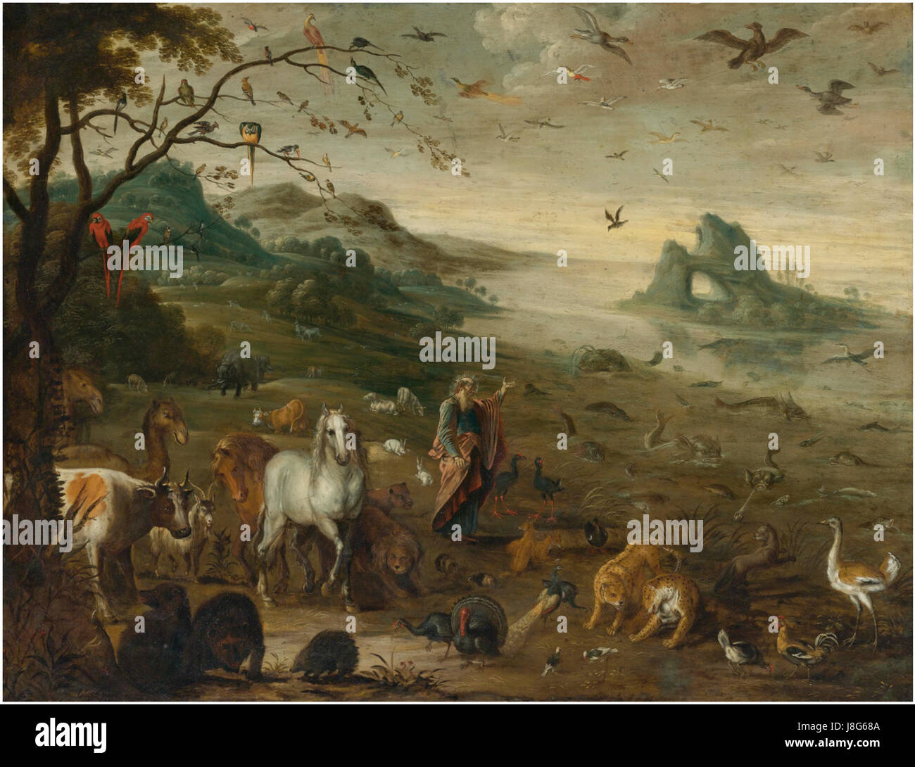 Izaak van Oosten God Creating the Animals of the World Stock Photo - Alamy