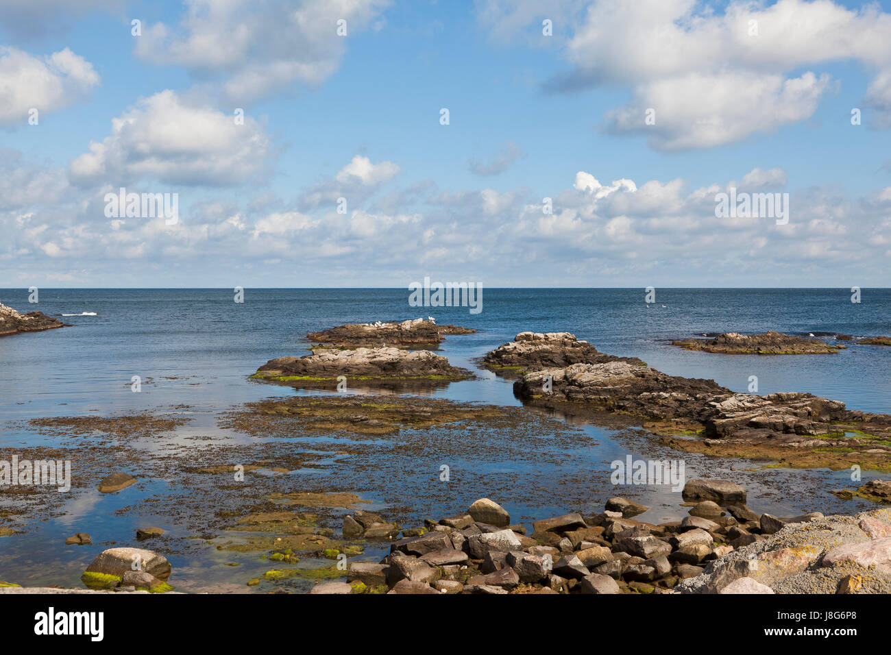 wanderlust, europe, denmark, water, baltic sea, salt water, sea, ocean ...