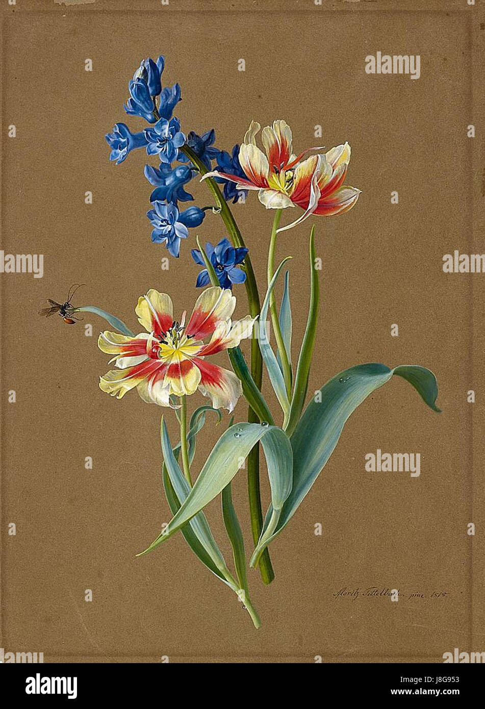 Tettelbach hi-res stock photography and images - Alamy