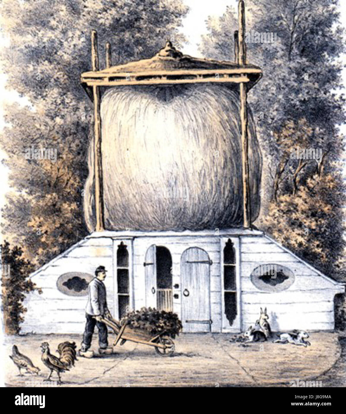 *Hooiberg en konijnenhok* translates to Haystack and Rabbit Hut, likely ...