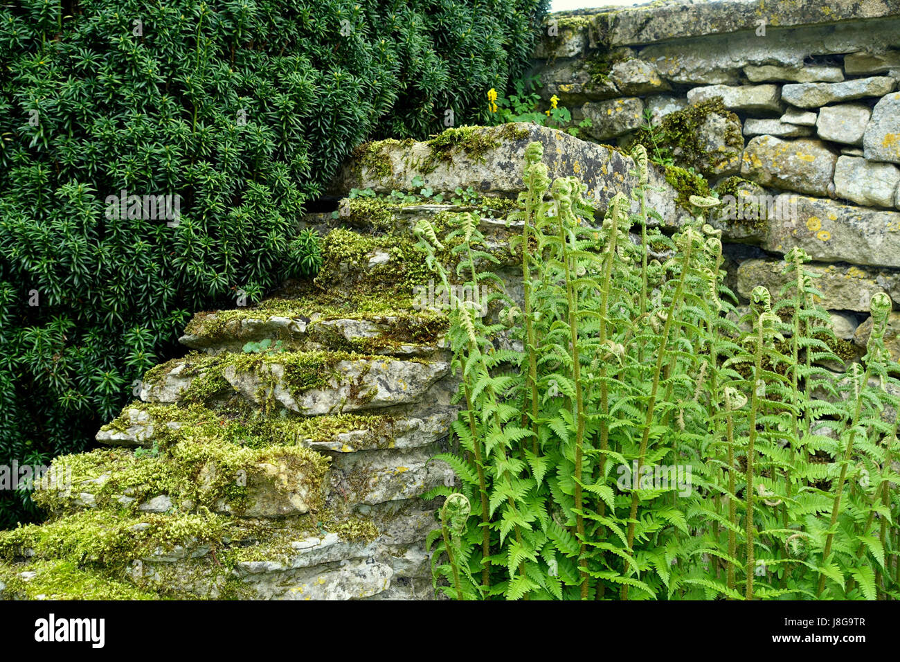 Photograph DSC09634 shows a detailed view of the garden at Snowshill ...
