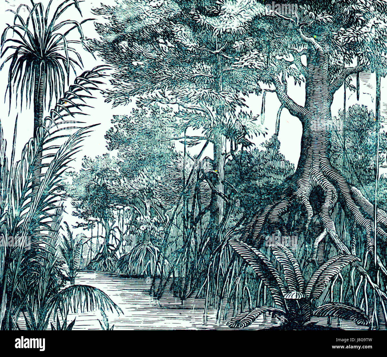 Vintage map of java hi-res stock photography and images - Alamy