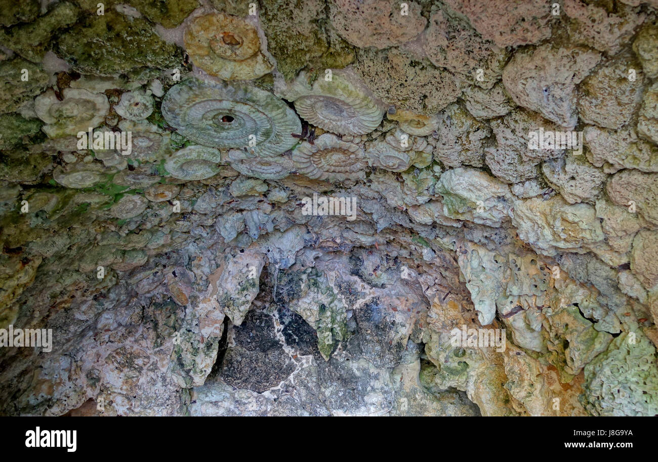 Grotto ceiling hi-res stock photography and images - Alamy
