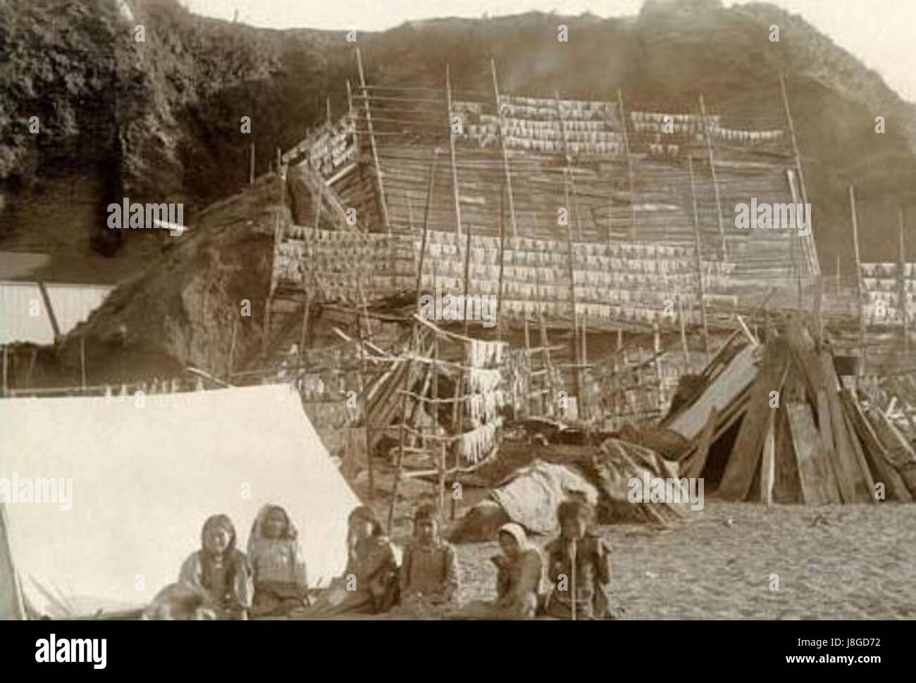 The Makah are a Native American tribe located in the Pacific Northwest ...