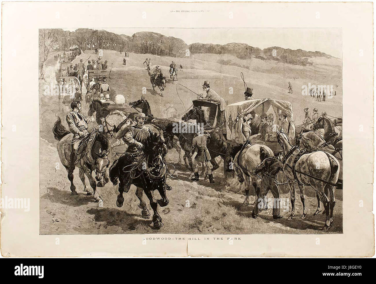 'Goodwood The Hill In The Park' is a renowned location in the Goodwood ...