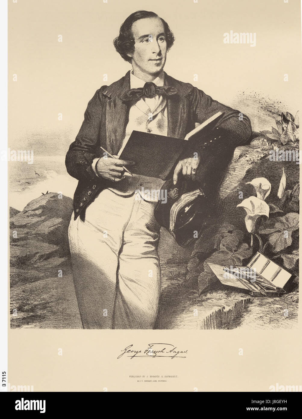 A print by Charles Baugniet of a work by George French Angas from 1849 ...