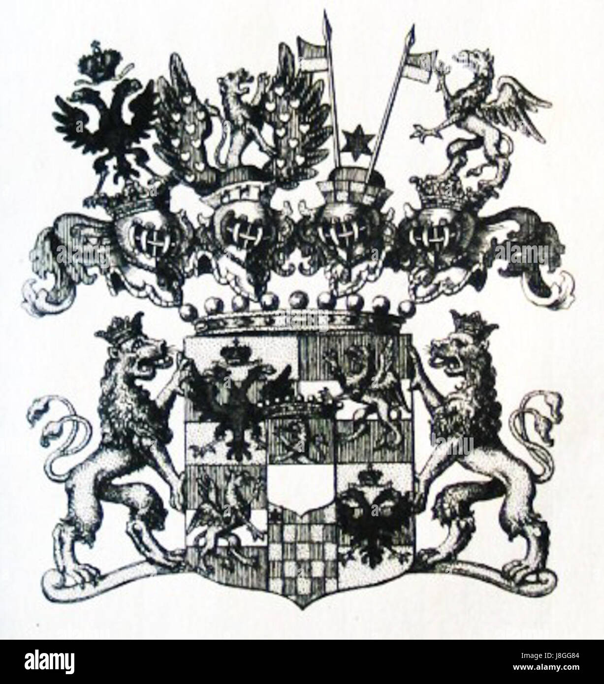 Heraldry family tree hi-res stock photography and images - Alamy