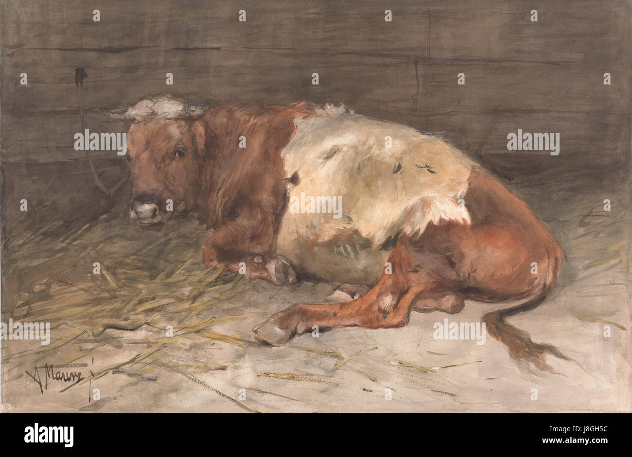 'Liggende jonge stier' is a painting depicting a young bull lying down ...