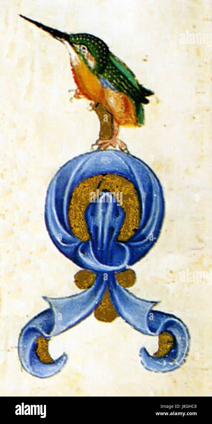 Lednak could refer to a person, place, or object, potentially an ...