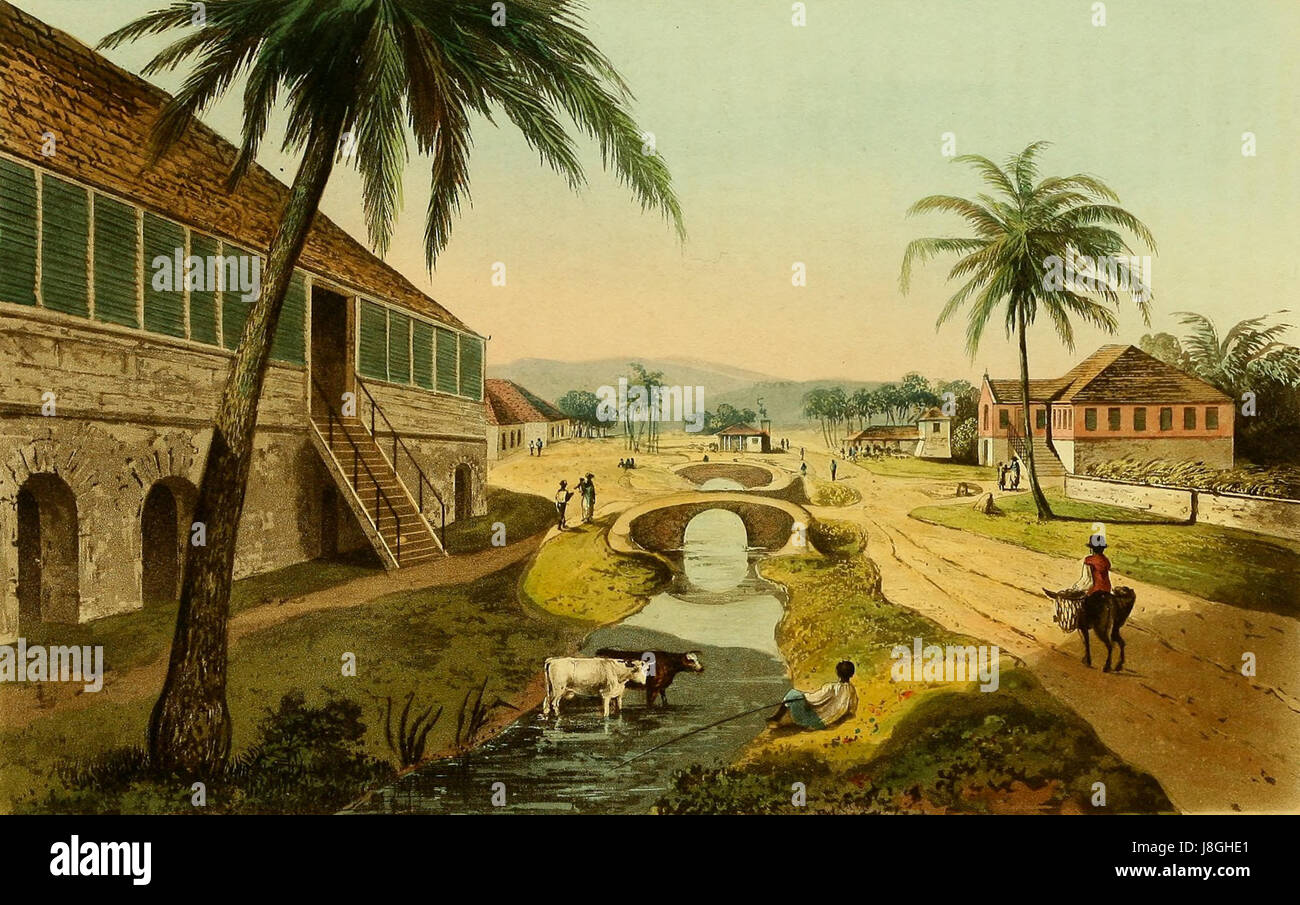 Jamaican culture hi-res stock photography and images - Alamy