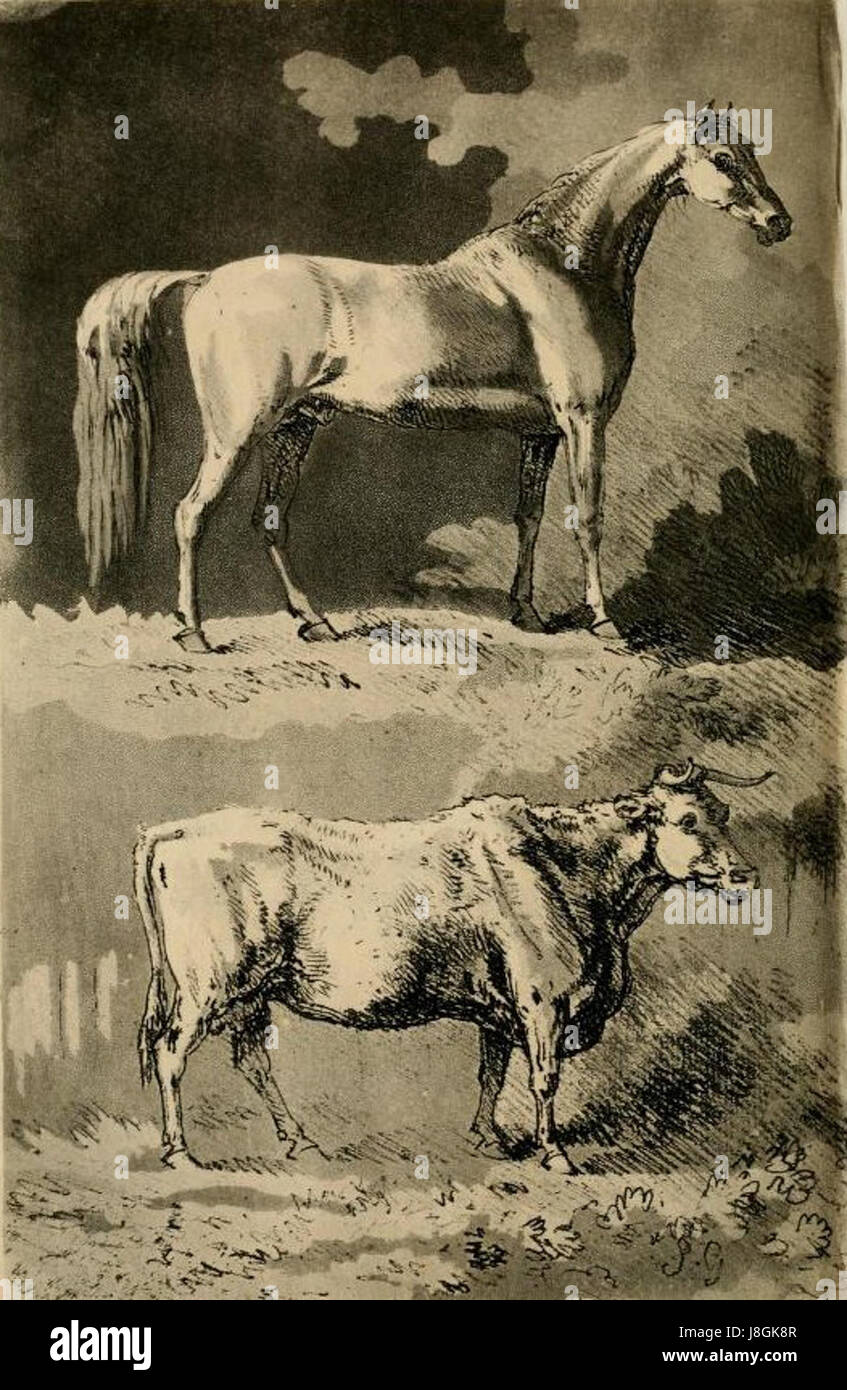 Map of gilpin hi-res stock photography and images - Alamy