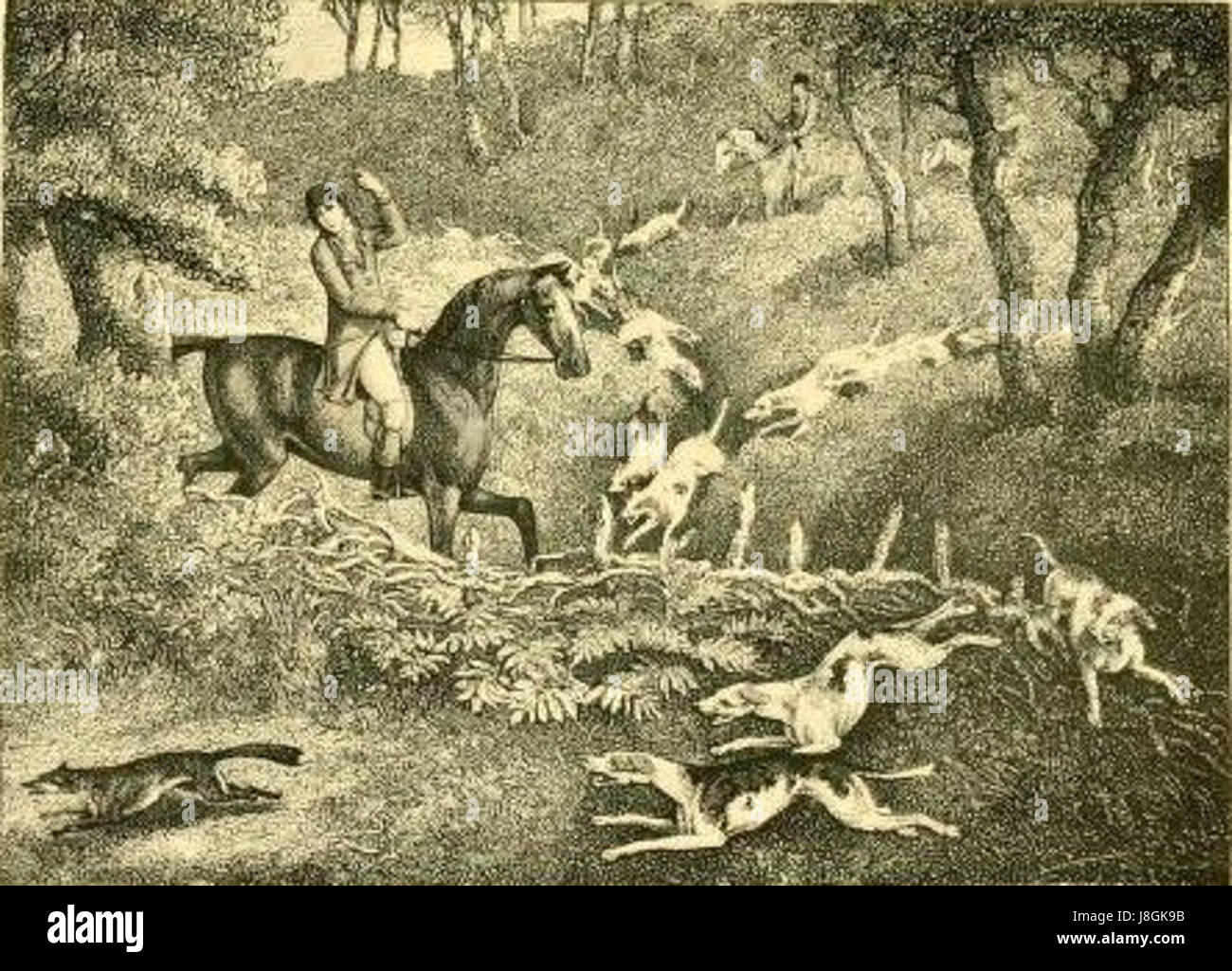 Howitt The Chase Stock Photo - Alamy