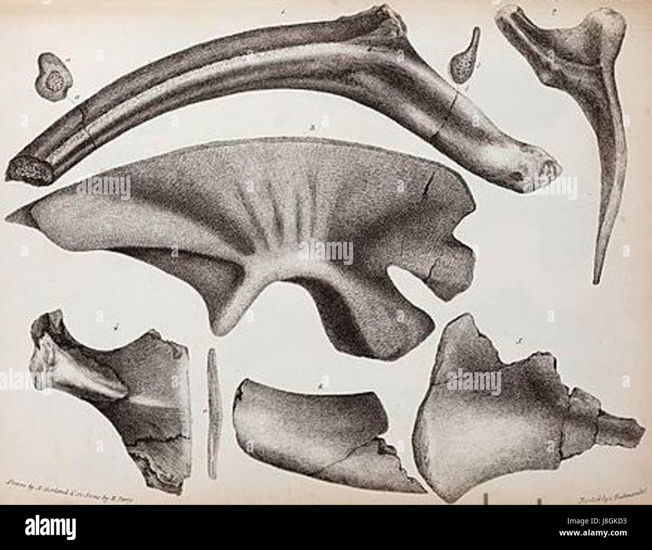 Mary parkinson hi-res stock photography and images - Alamy