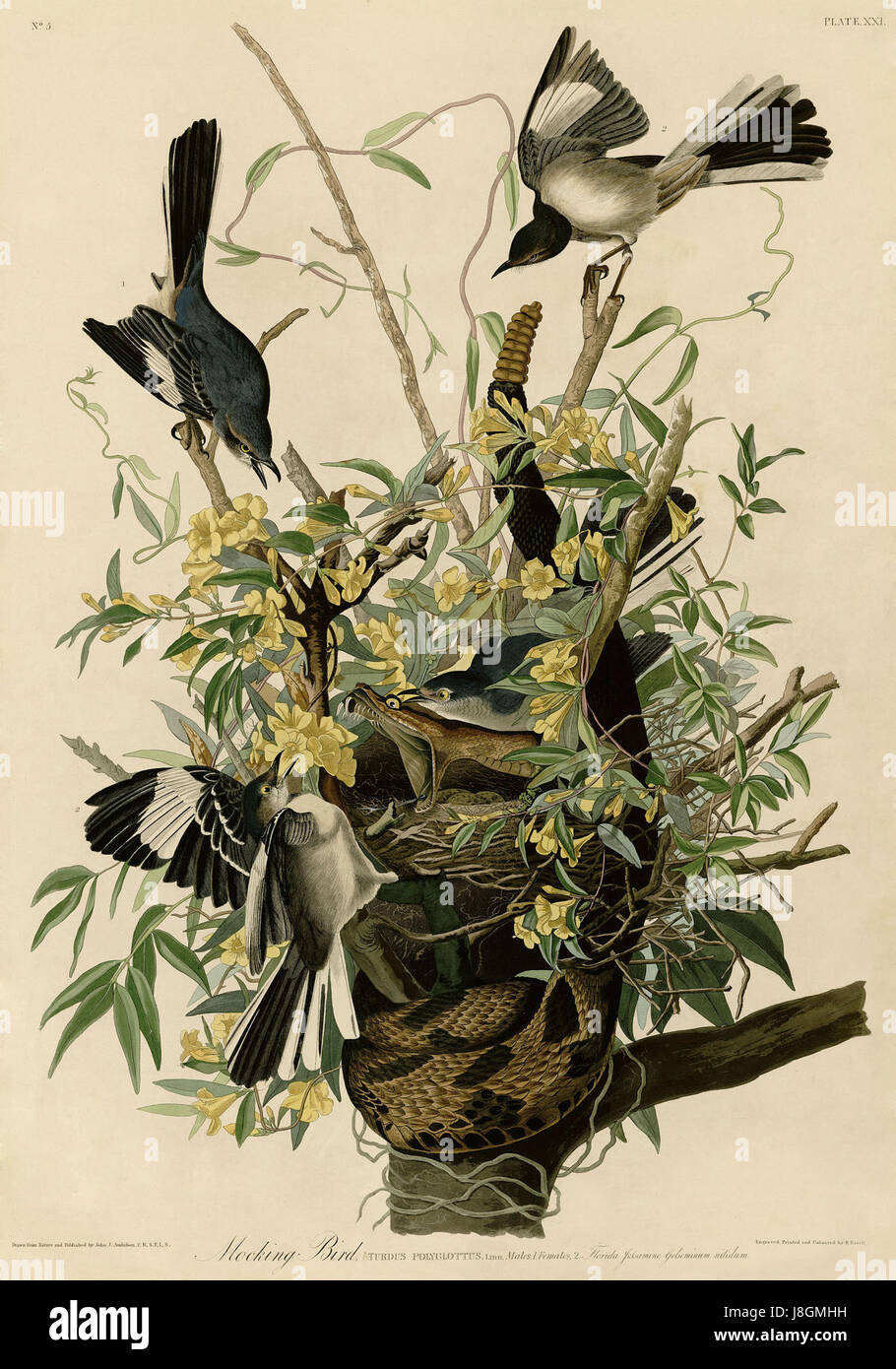 Behavior depiction hi-res stock photography and images - Alamy