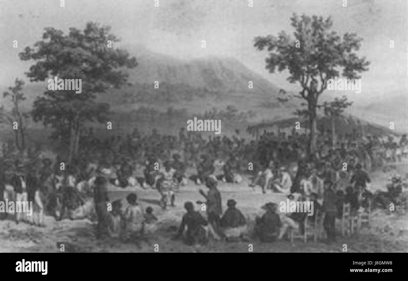This depiction of a Hawaiian hula performance in 1837 captures the ...