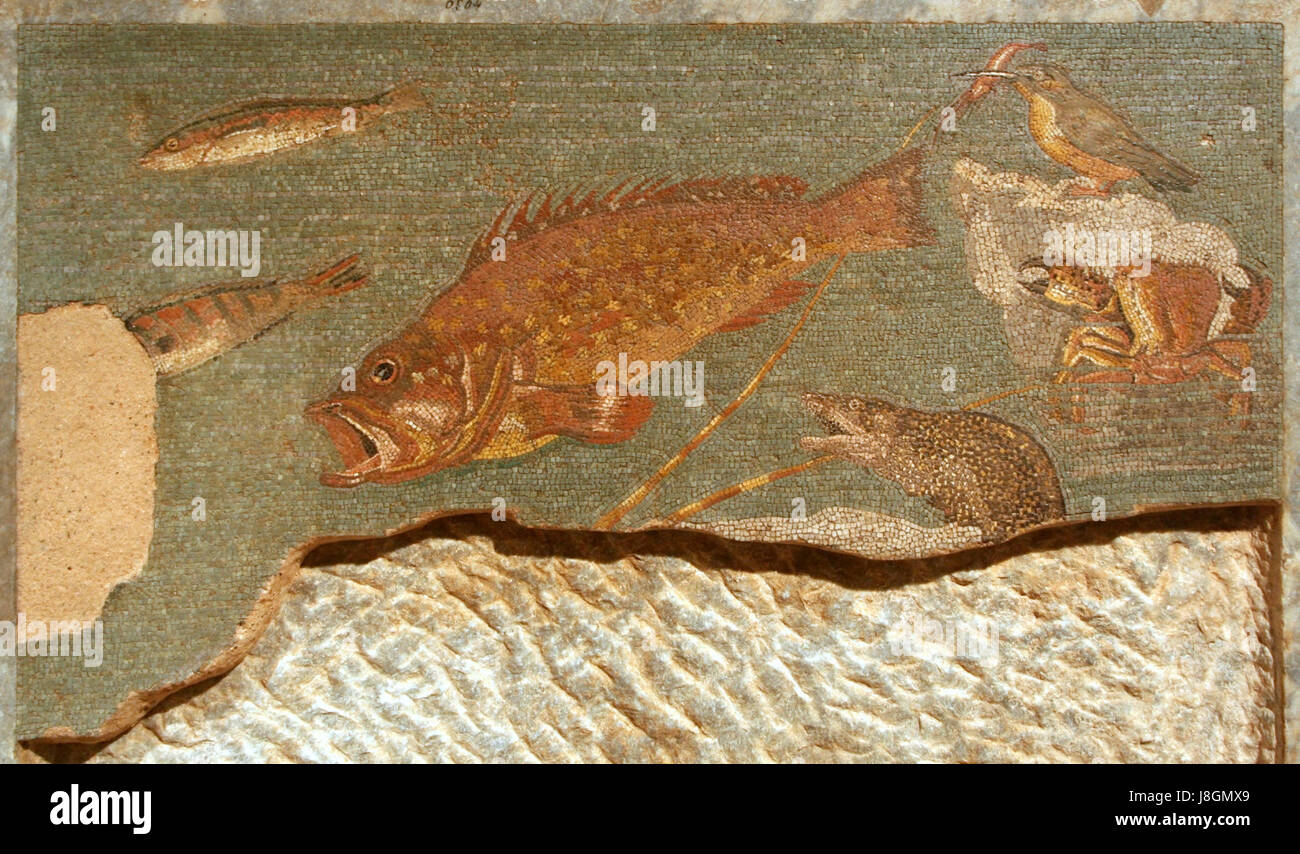 Roman mosaic fish hi-res stock photography and images - Alamy