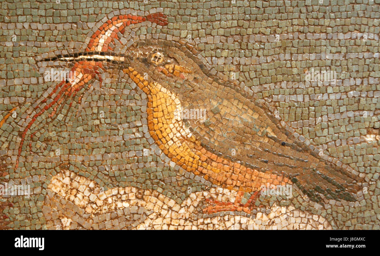 Roman mosaic fish hi-res stock photography and images - Alamy