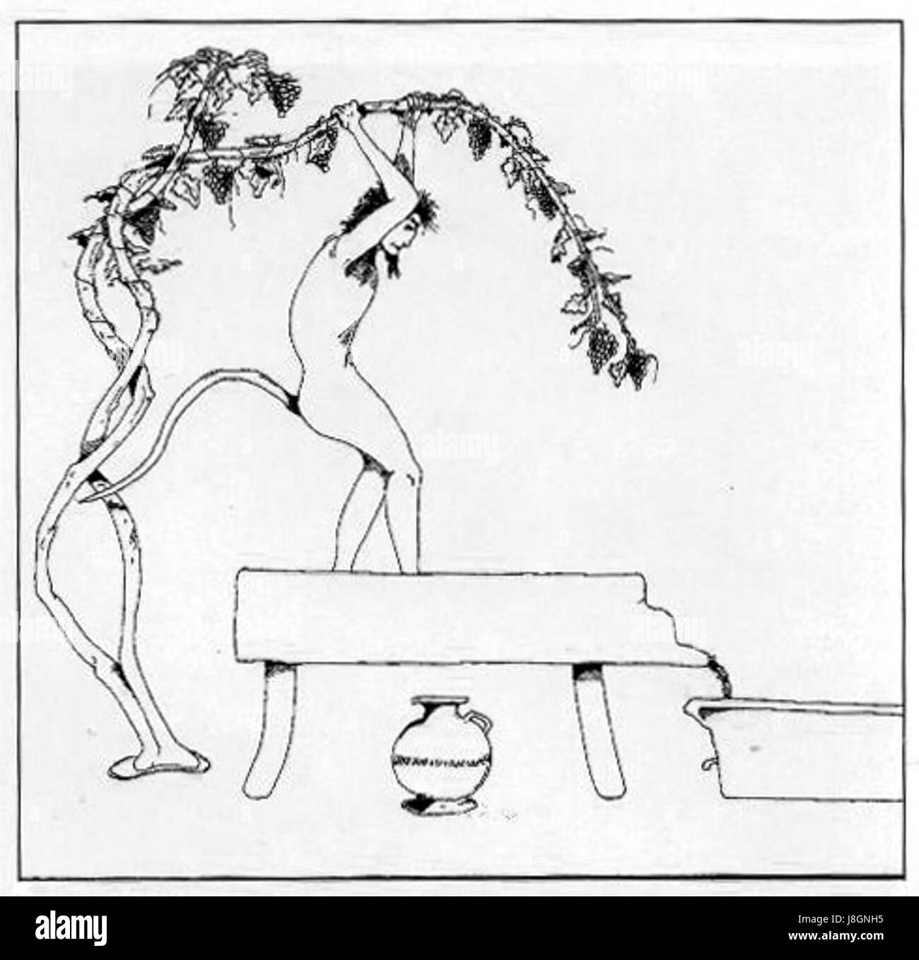 Medieval wine making Black and White Stock Photos & Images - Alamy