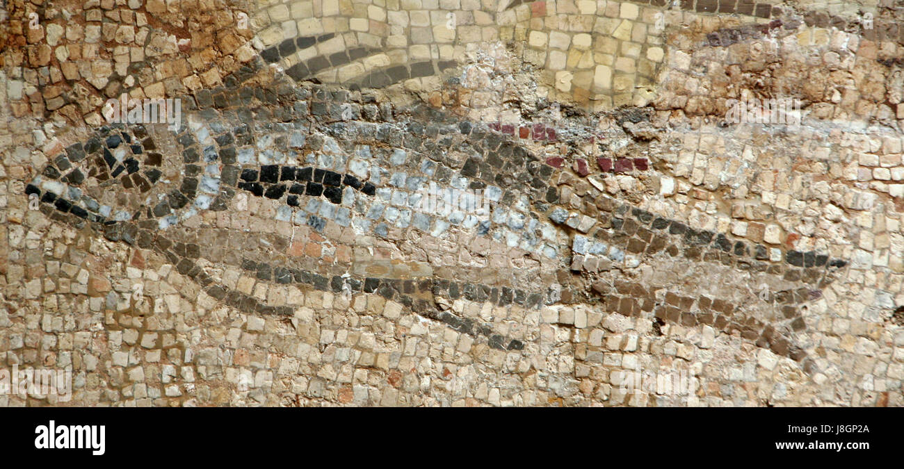 Roman mosaic fish hi-res stock photography and images - Alamy