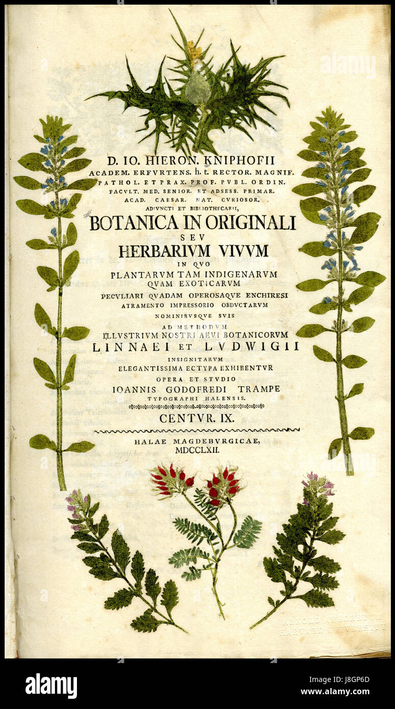 Botanical herbarium preserved plants specimens hi-res stock photography ...