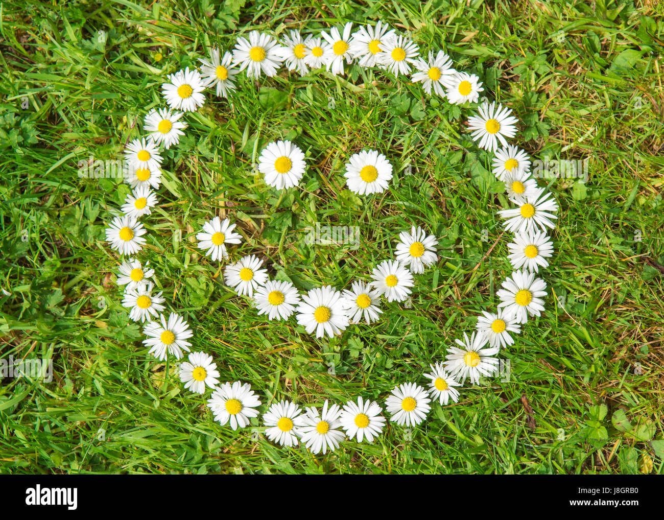 Smiley face made from daisies Stock Photo - Alamy