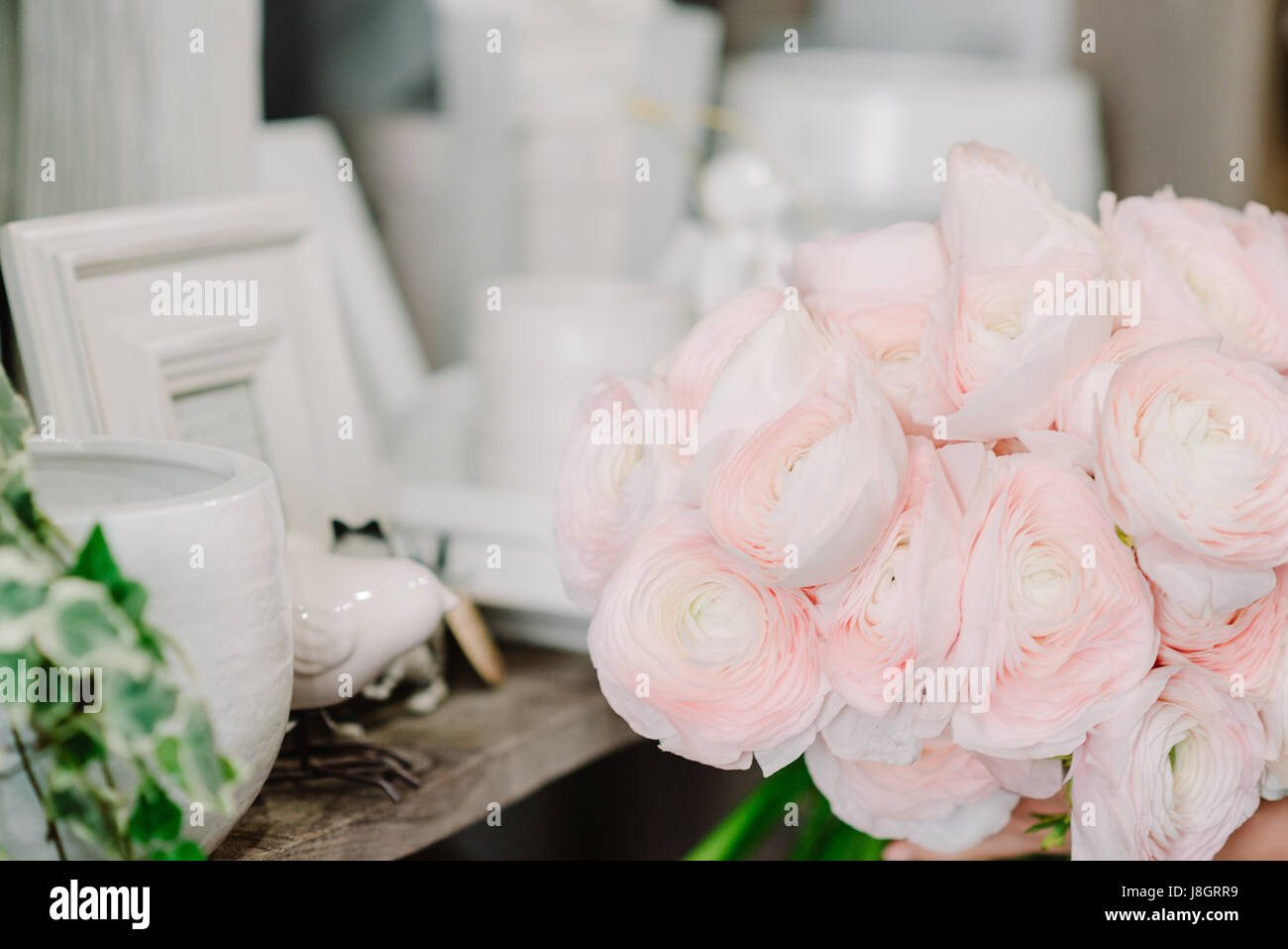 Magnificent bouquet of bright pink ranunculus Stock Photo - Alamy