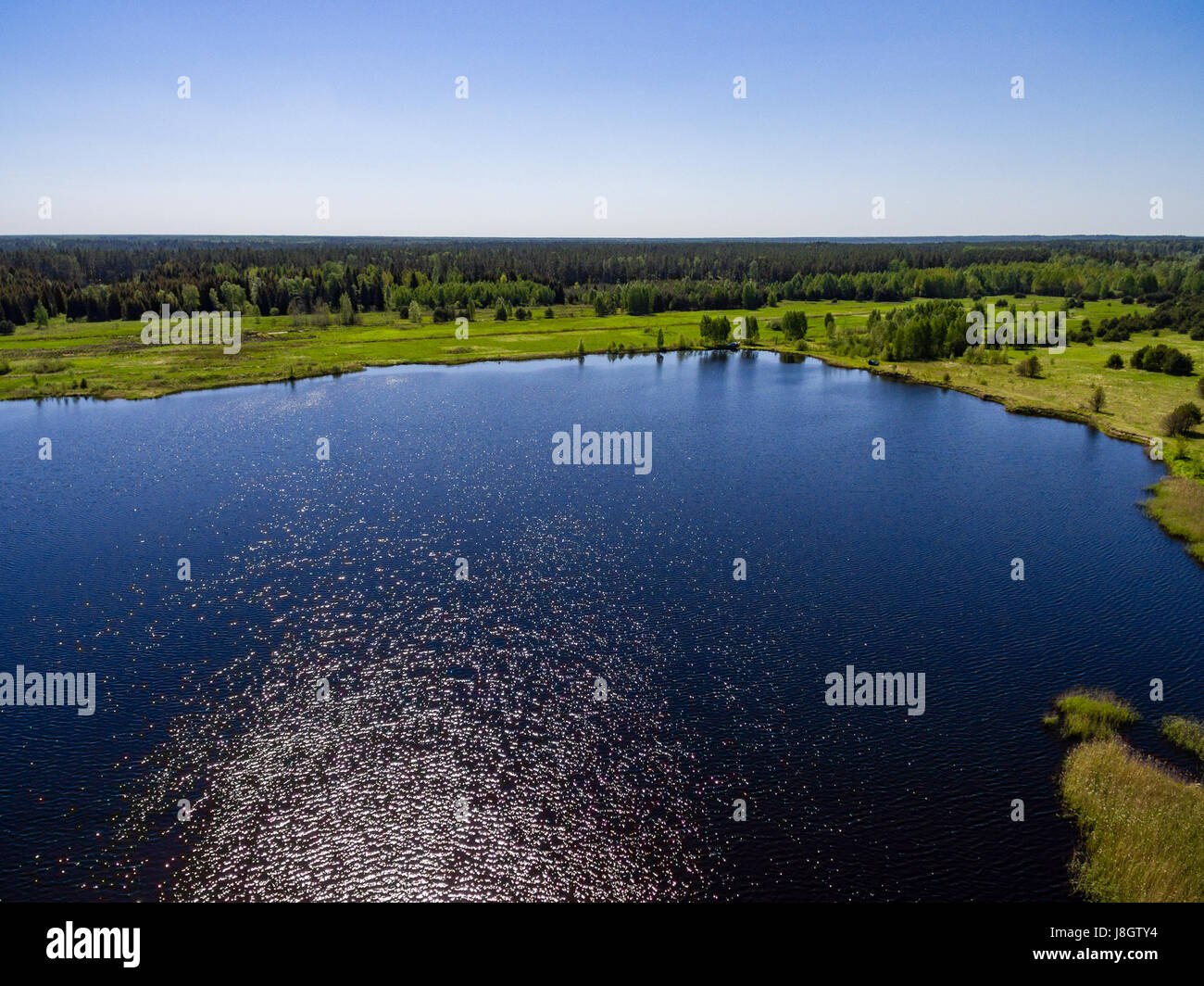 drone image. aerial view of rural area with forest and swamp lake in ...