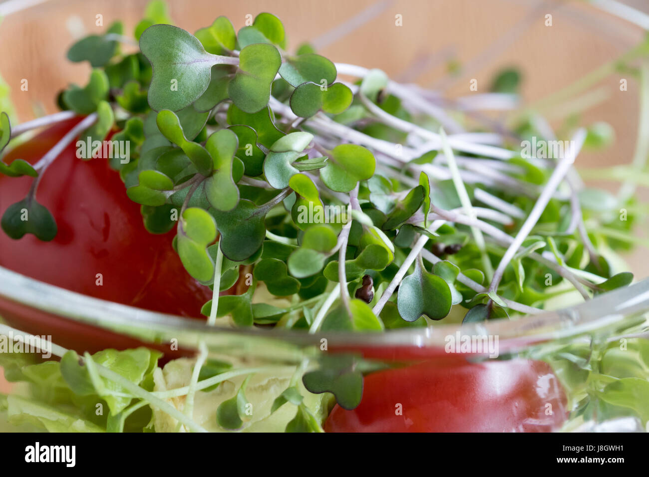 Kale microgreens hi-res stock photography and images - Alamy