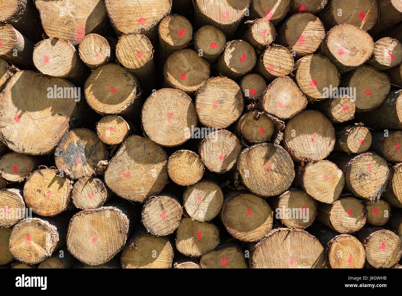 Stacked logs texture hi-res stock photography and images - Alamy