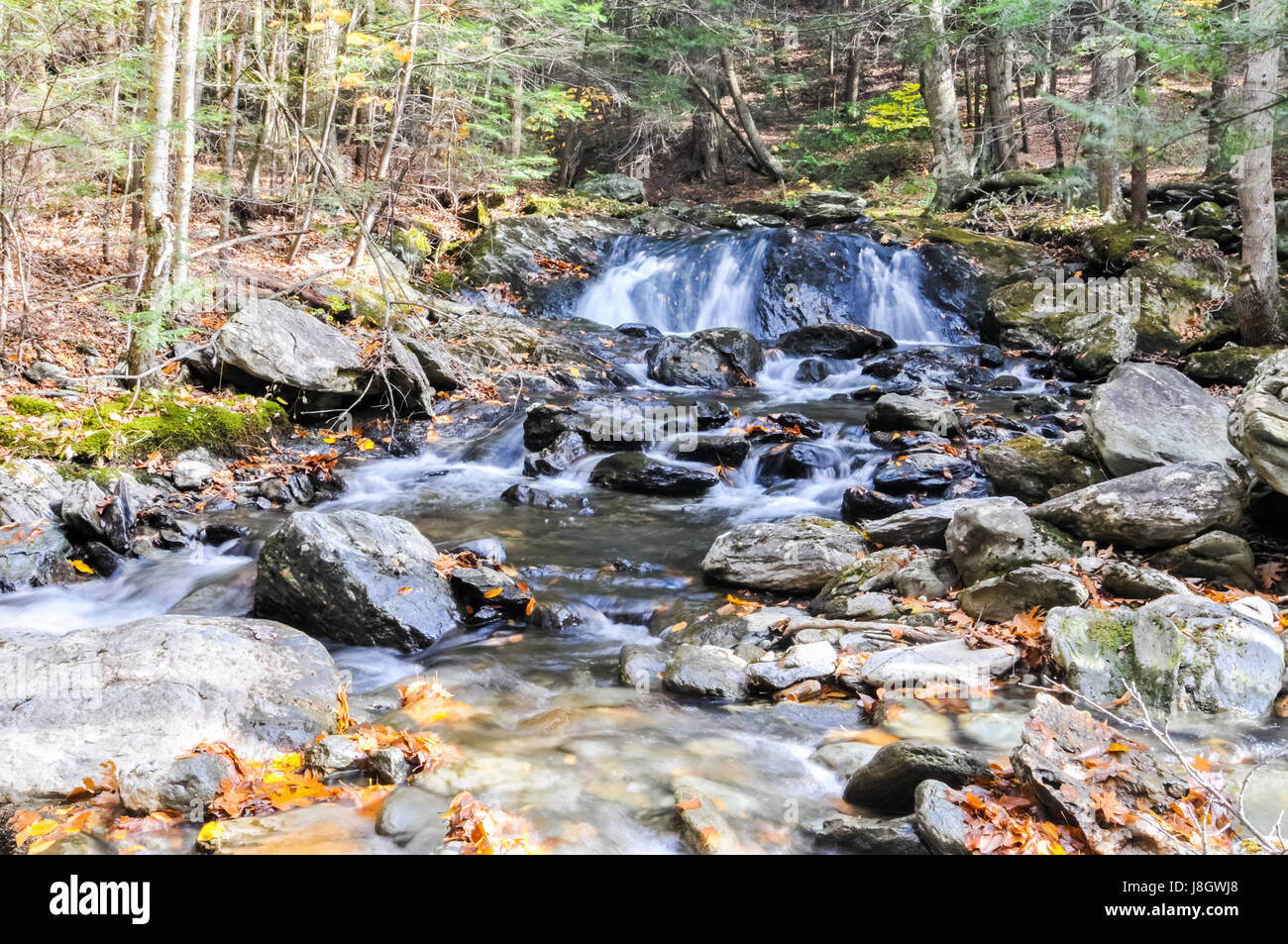 Mount Washington State Forest during Autumn Stock Photo - Alamy