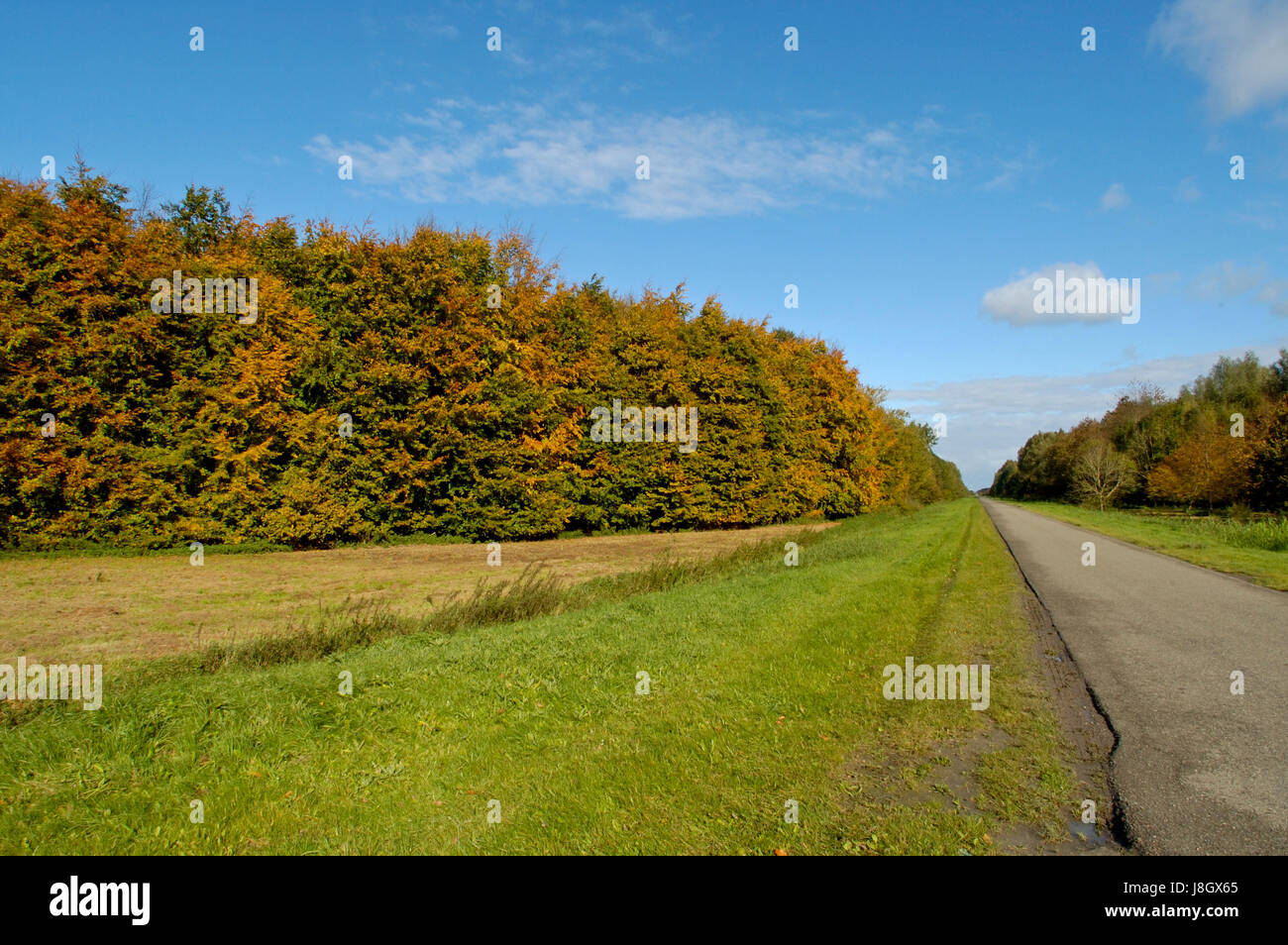 Flevo polder hi-res stock photography and images - Alamy