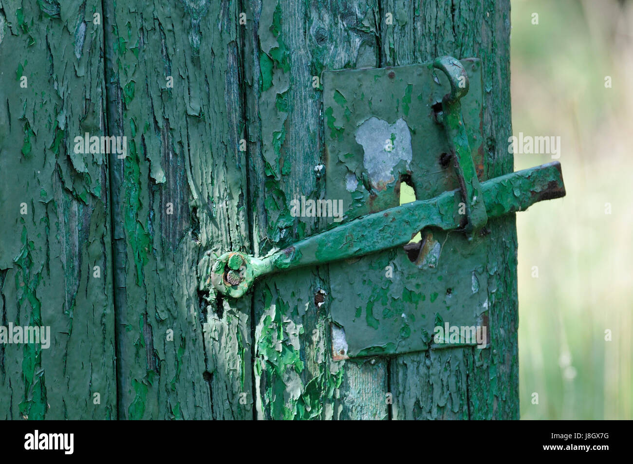 An old rustic lock on a painted green gate Stock Photo - Alamy
