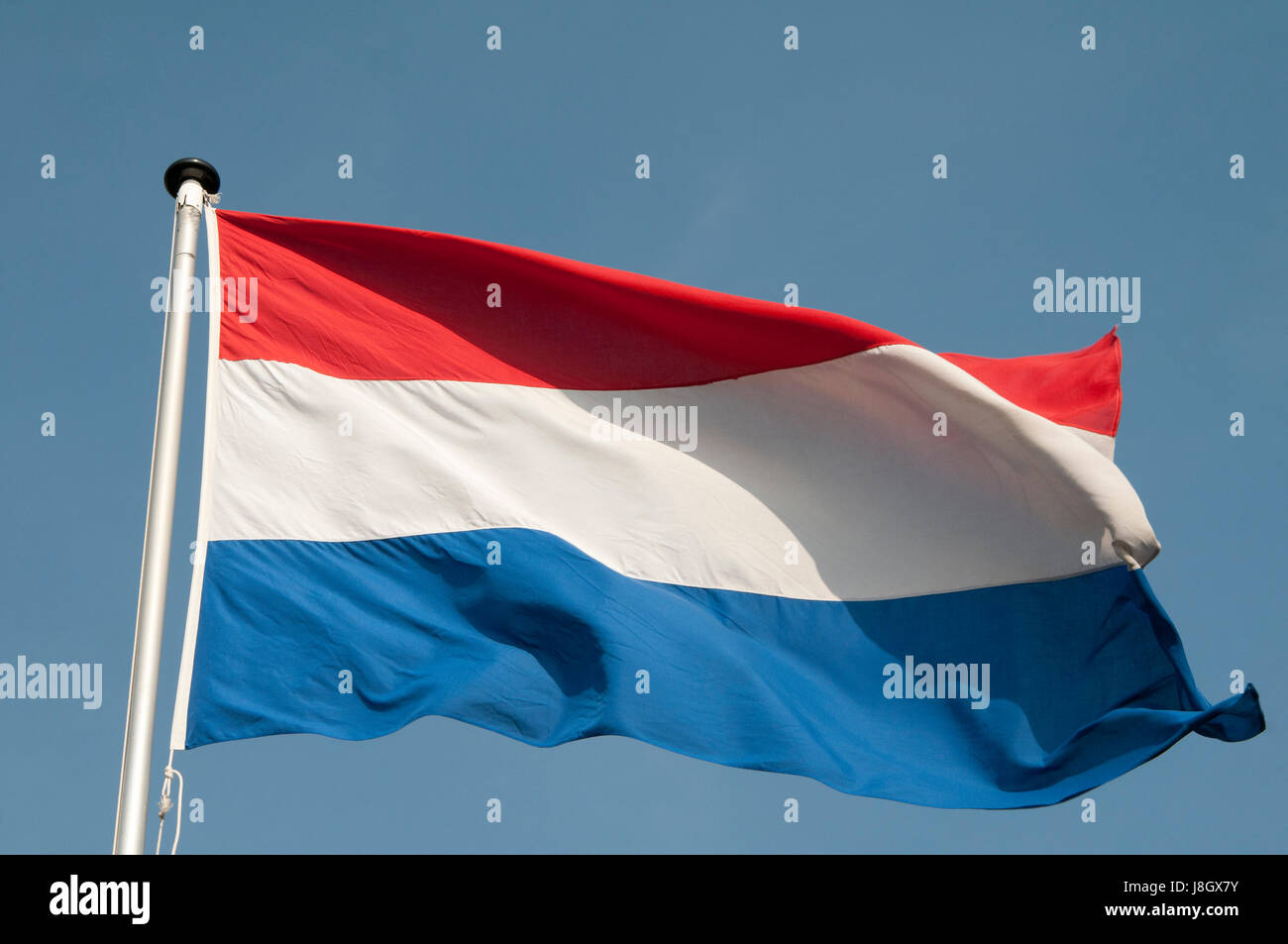 The Dutch red and white flag blowing in the wind Stock Photo - Alamy