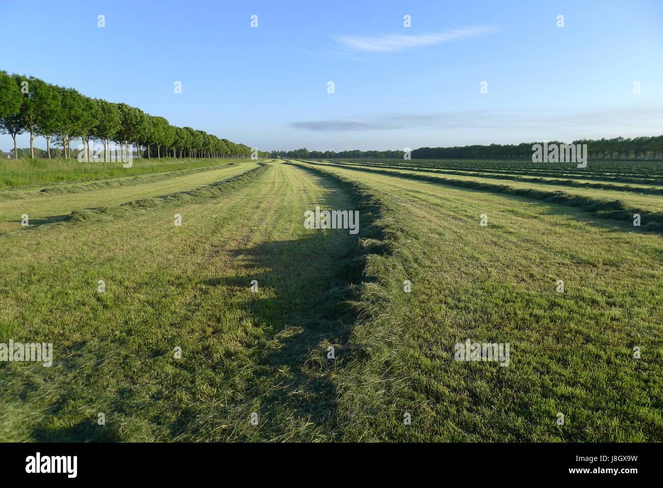 Aerial view freshly cut hi-res stock photography and images - Alamy