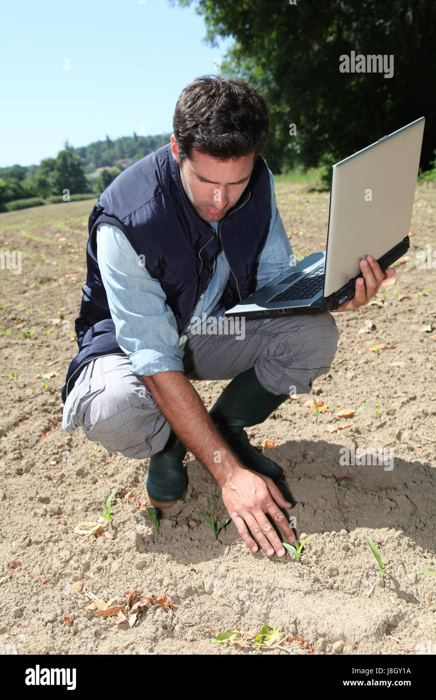 environment, enviroment, culture, ground, soil, earth, humus ...