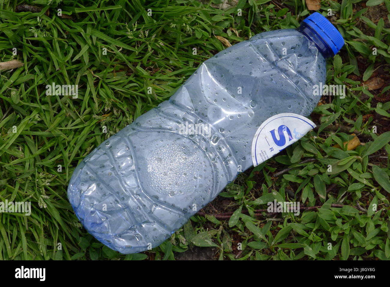 A dented plastic water bottle lying in a field of grass Stock Photo - Alamy