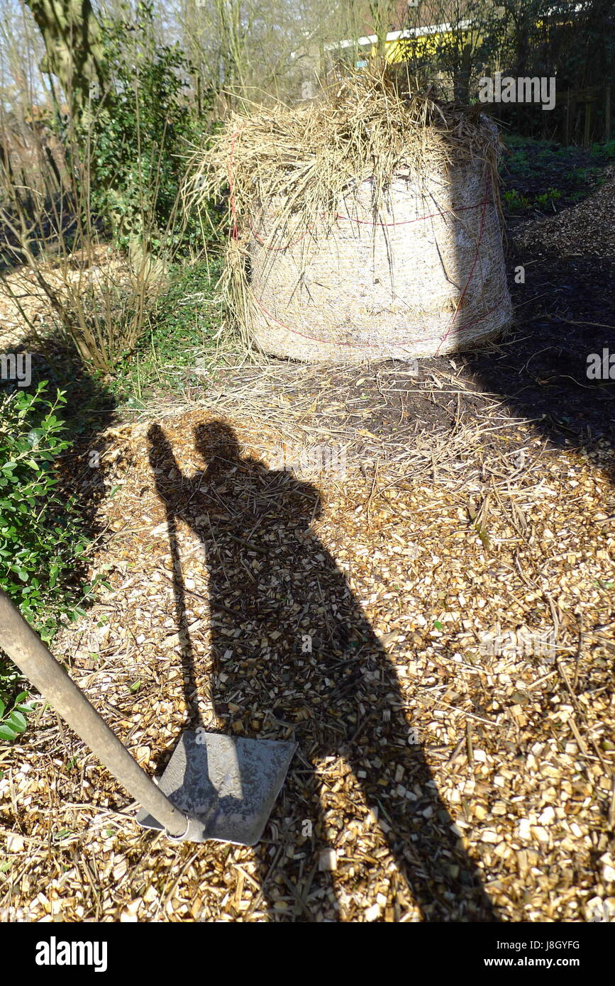 You can see the shadow of a gardener standing in a field holding a ...